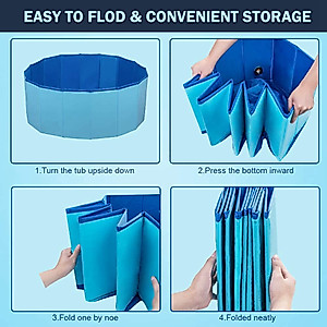 Foldable Collapsible Lizard Bathing & Cooling Swimming Pool, Durable Bath Tub, Swimming Bath Water Washer for Bearded Dragons Hedgehog Hamster & Small Animals, Bonus - Bearded Dragon Swim Float