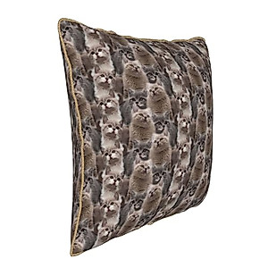 Augenstern Zippered Pillow Protectors Cover Case Camo-Kitty-Cute-Shorthair-Cat Decorative Throw Pillow Cover Square Cushion Case 20"X20"