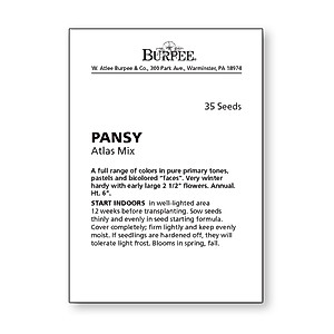 Burpee Atlas Mix Pansy Seeds 35 seeds