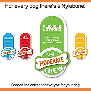 Nylabone Moderate Flexible Dental Dog Chew Toy Bones, 3 Pack, Bacon, Chicken Flavoured, X-Small, for Dogs Up to 7 kg