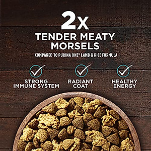 Purina ONE High Protein, Natural Dry Dog Food, True Instinct With Real Salmon & Tuna - 7.4 lb. Bag