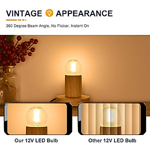 TOKCON 12 Volt Low Voltage LED Light Bulbs - Soft Warm 2700K 2W (Only for 12V DC/AC)- 25W Equivalent E26 Edison Base Small Globe Bulb for RV, Landscape Lights - 3 Pack