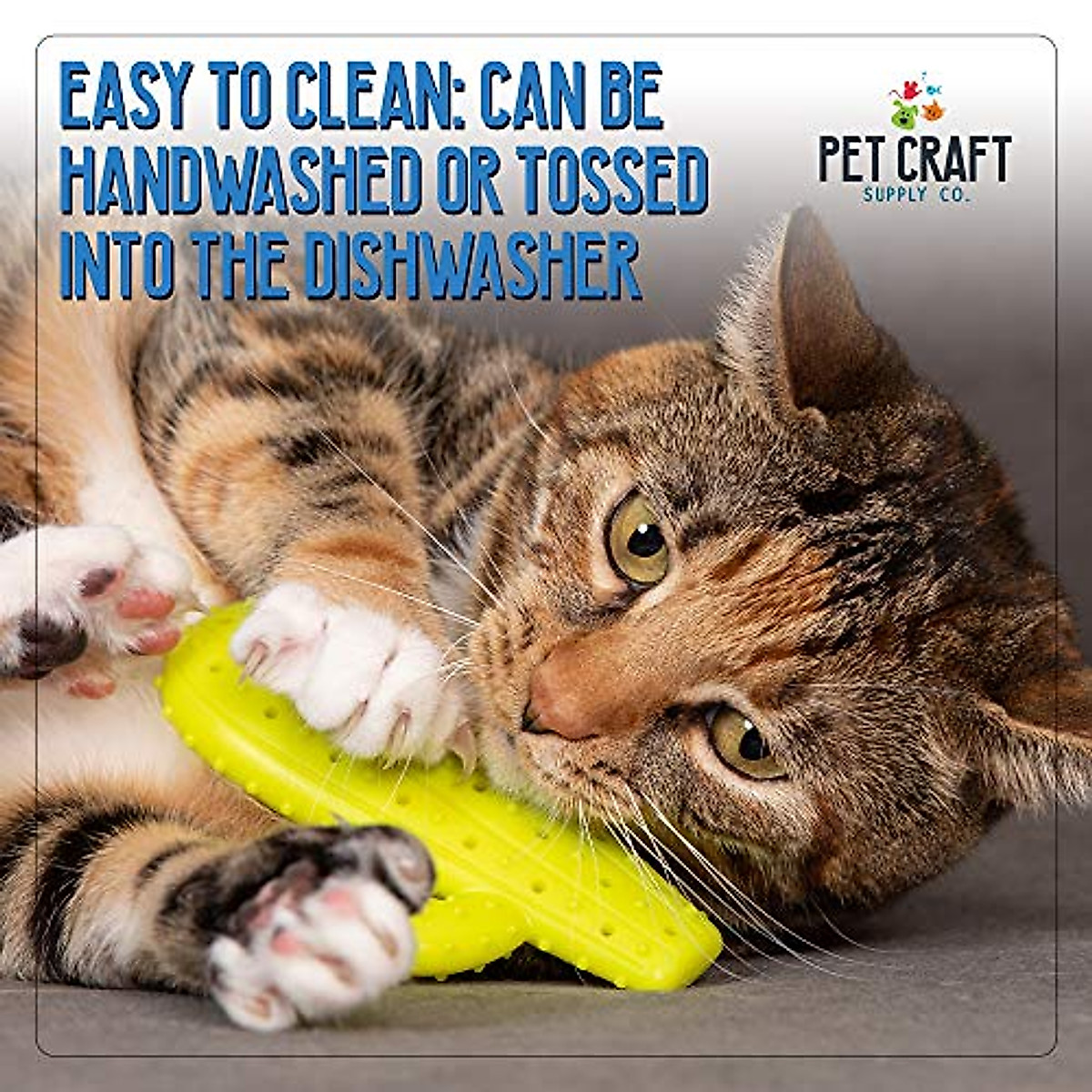 Pet Craft Supply Cactus Interactive Cat Toy Chew Toy Teeth Cleaning Bite Resistant 100% Natural Rubber with Bonus Catnip and Silvervine Bags for Kittens and Adult Cat