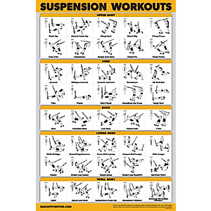 11 Pack - Exercise Poster Set: Dumbbell, Suspension, Kettlebell, Resistance Bands, Stretching, Bodyweight, Barbell, Yoga, Exercise Ball, Muscular System, Medicine Ball (LAMINATED, 18" x 24")