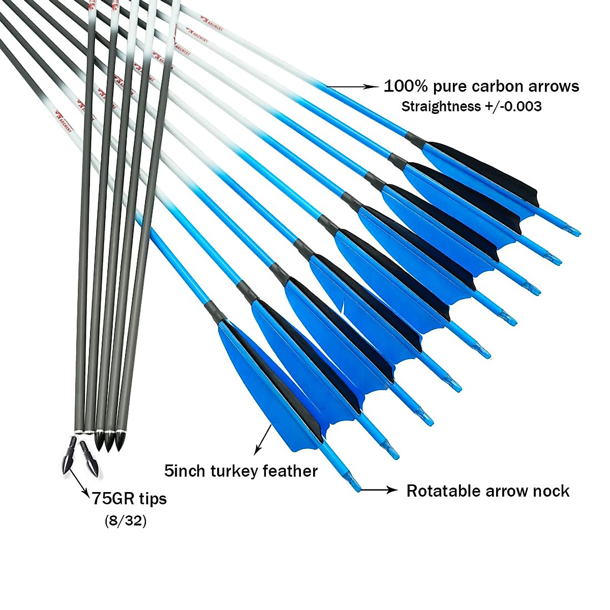 Linkboy Archery Carbon Arrows Hunting Practice Target Arrows Fluorescent with Removable Tip for Compound Recurve Long Bows, Spine 250 300 340 400 500 600 700 800, Pack of 6/12PCS