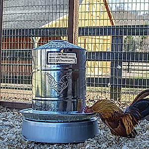 Manna Pro Hanging Chicken Waterer for Chicken Coop | Holds 2 Gallons of Water | Harris Farms Galvanized Steel Double Wall Poultry Drinker ,Silver