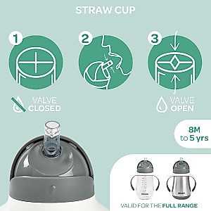 BEABA Straw Sippy Cup, Sippy Cup with Removable Handles, Sippy Cup with Straw, Baby Straw Cup, Toddler Cup, Toddler Straw Cups, 8+ Months, 10 oz, Sage