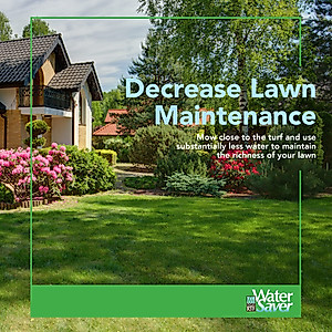 WaterSaver Grass Mixture with Turf-Type Tall Fescue Used to Seed New Lawn and Patch Up Jobs-Grows in Sun or Shade, 10 lbs-Covers 1/20 Acre