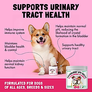 Cranberry UTI Chews for Dogs Bladder Support + D-Mannose Supports Kidney Urinary Tract and Bladder Health Natural Cranberry Wellness Supplement Immune System Booster Natural Pet Antioxidant 120 Chews