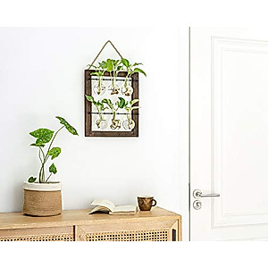 Mkono Double Layer Wall Hanging Glass Planter Propagate Station, Modern Novel Flower Bulb Vase Plant Terrarium with Retro Wooden Stand for Hydroponics Plants Home Garden Office Decor, 6 Bulb Vase
