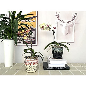 Orchid Pots with Holes 4.33 inch Ceramic Orchid Planter White and Black (Set of 2)