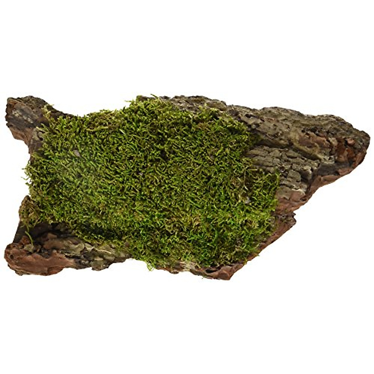 Galápagos (05276) Basking Bark, Sheet Moss, 1 Pc.