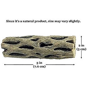 MERIC Hamster Cholla, Climbing Wood, Teeth Trimmer, 1 Pc Per Pack