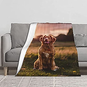 LUCKYCFD Custom Blanket with Photo Text, Customized Picture Personalized Flannel Throw Blankets for Wedding Adult Kid Family Birthday Christmas Father Mother Valentines Day 50"x 40"