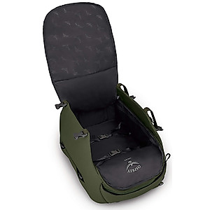Osprey Porter 46 Travel Backpack, Haybale Green