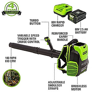 Greenworks Pro 80V (180 MPH / 610 CFM) Cordless Backpack Leaf Blower, 2.5Ah Battery and Charger Included BPB80L2510 & PRO 80V 2.5Ah Lithium-Ion Battery (Genuine Greenworks Battery)