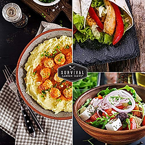 Survival Garden Seeds - Beefsteak Tomato Seed for Planting - Packet with Instructions to Plant and Grow Delicious Tomatoes in Your Home Vegetable Garden - Non-GMO Heirloom Variety - 1 Pack