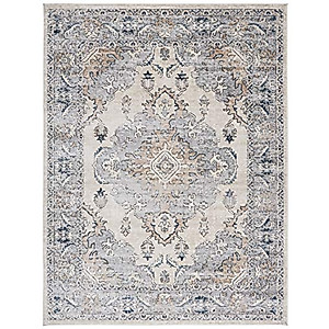 SAFAVIEH Oregon Collection 8' x 10' Beige/Grey ORE898B Oriental Distressed Non-Shedding Living Room Bedroom Dining Home Office Area Rug