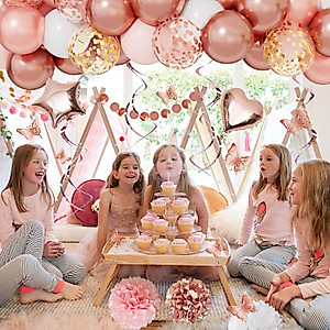 Rose Gold Birthday Party Decorations Kit for Women Girls, Foil Confetti Rose Gold Balloon Pink Happy Birthday Banner Fringe Curtains Butterfly Decor Circle Dots Tassels Pom Supplies 30th 40th 50th Her