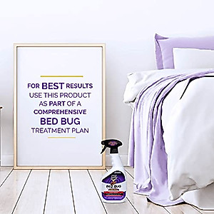 Hot Shot Ready-to-Use Bed Bug Killer Spray, Kills Bed Bugs and Bed Bug Eggs, Kills Fleas and Dust Mites, 32 Ounce