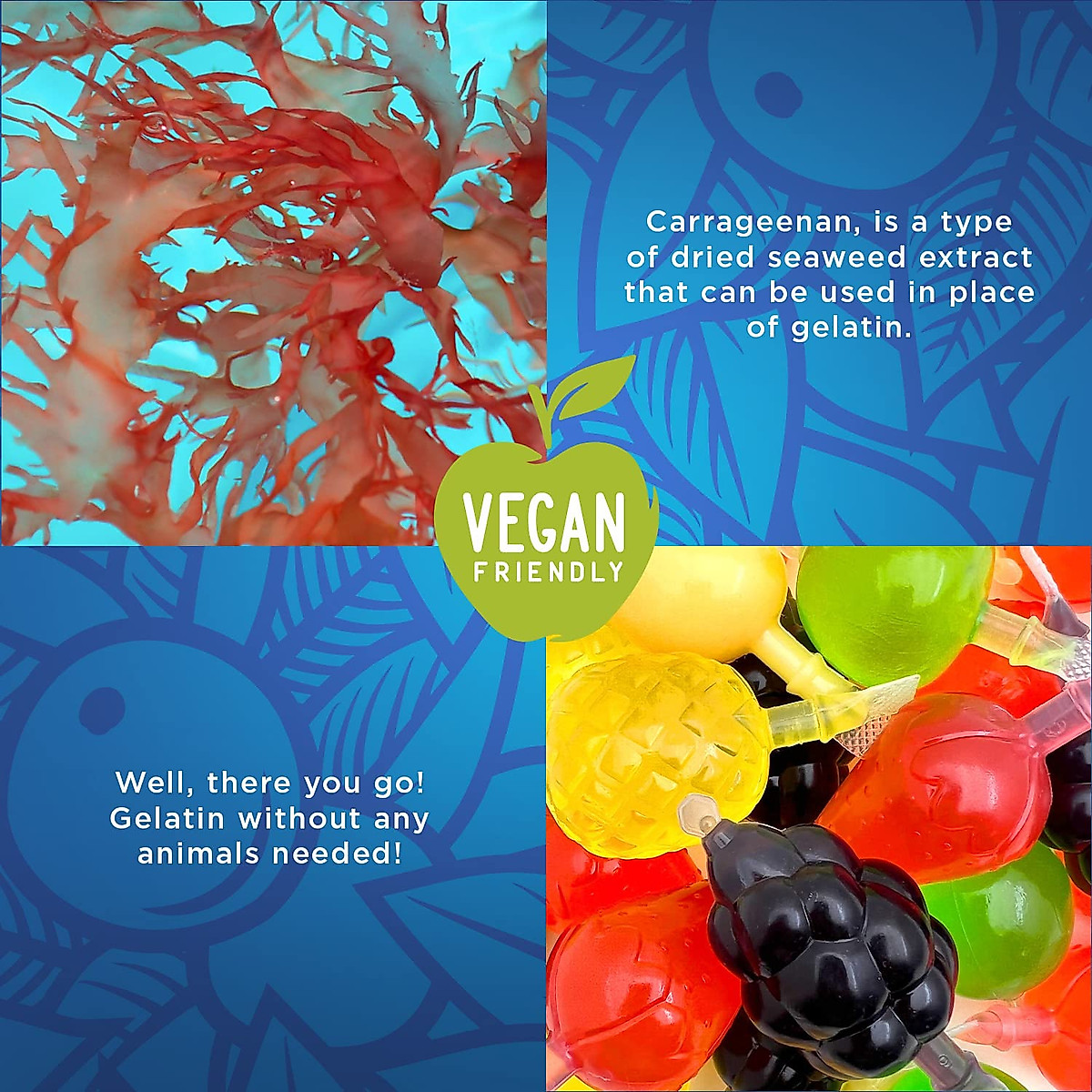 Funtasty Squeezable Fruit Jellies Candy - 25 Count Bag - Assorted Flavors