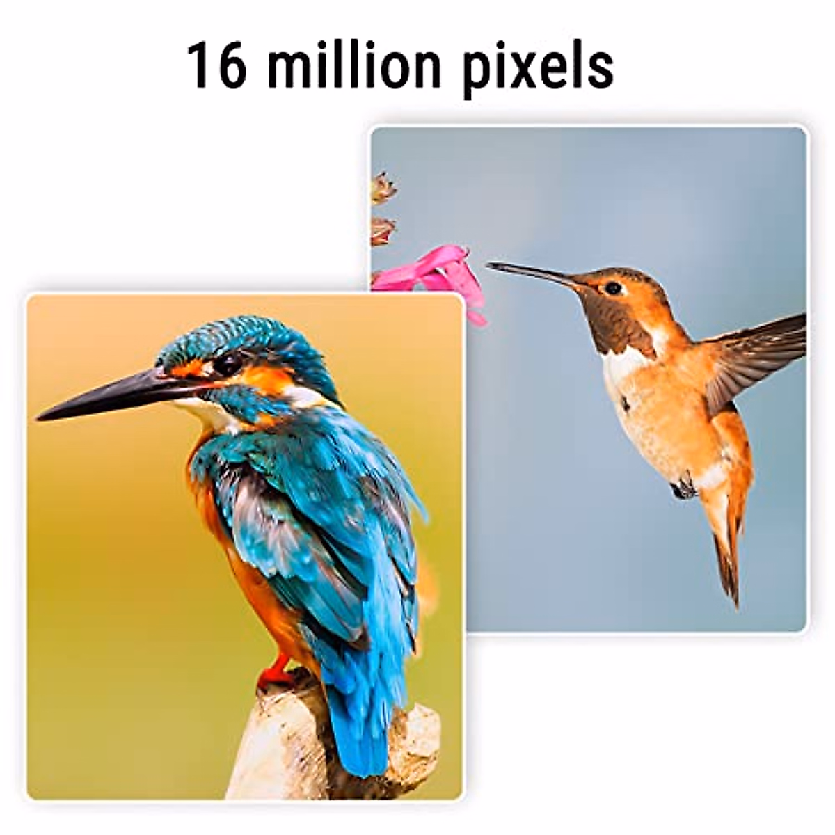 Teens Boys Girls Camera, 16X Digital Zoom Camera, 16MP 2.4 Inch LCD Screen Portable Camera 720P Digital Mini Camera for Students Seniors (Black)