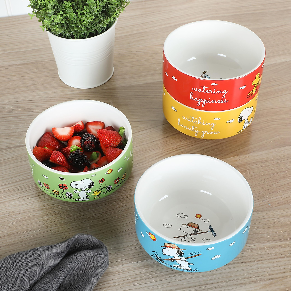 Peanuts Snoopy 4 Pack Stackable 5.5" Decorated Stoneware Bowl Set