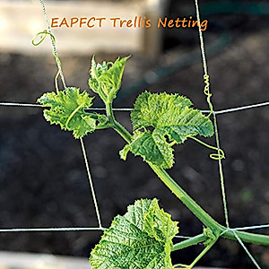 EAPFCT Trellis Netting 5x30ft 2 Pack Heavy-Duty Polyester Plant Support Trellis Net for Climbing Plants Garden Trellis Netting 6'' Mesh with Garden Ties