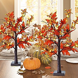Ethlomoer 2 Pack 24 Inch Artificial Fall Maple Tree, Prelit 48 LEDs for Thanksgiving Decorations Fall Decor, Battery Operated with Timer, Lighted Autumn Tabletop Tree for Harvest Home Indoor Decor