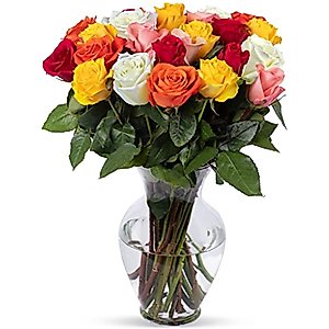 Benchmark Bouquets 2 Dozen Rainbow Roses, With Vase (Fresh Cut Flowers)