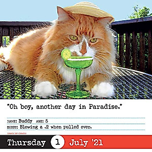 Bad Cat Page-A-Day Calendar 2021