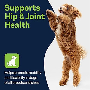 Level Up Pup Dog Hip & Joint Supplement and Inflammation Relief with Glucosamine, Chondroitin, MSM, Hyaluronic Acid, Green Lipped Mussel, Turmeric, and Vitamin E. 60 Peanut Butter Flavor Soft Chews.