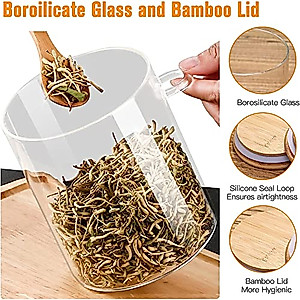 Hwawhin 4 Pack Airtight Glass Jars with Bamboo Lid & Spoons, 19 OZ Glass Food Storage Jars Borosilicate Glass Canisters for Coffee Bean, Sugar, Storage, Dry Goods, Cookie, Candy, Tea, Spices and More