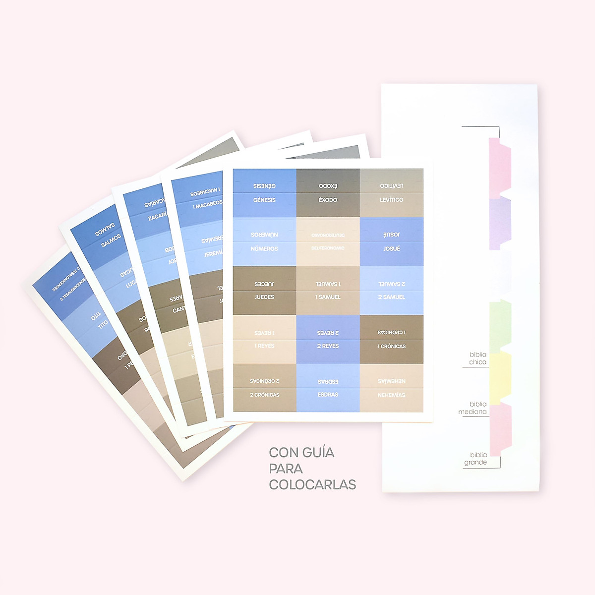 PEZ DE PAPEL Pestañas para Biblia Católica, en español. Catholic Bible Tabs, in spanish (Blue and gray)