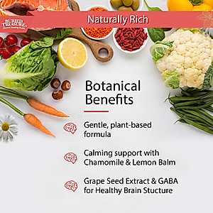 Buried Treasure - Added Attention - Children's Learning Support with GABA DHA Vitamin B and Herbal Blend - Aid Healthy Brain Functions - Improved Short-Term Auditory Memory Focus & Behavior 16.54 oz