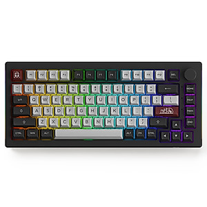 Akko Dracula Castle 5075B Plus Wireless Gaming Keyboard | LED RGB Wireless Keyboard with PBT Keycaps | 2.4 Ghz Bluetooth Keyboard | USB-C Wired Mechanical Keyboard | Gaming PC Accessories