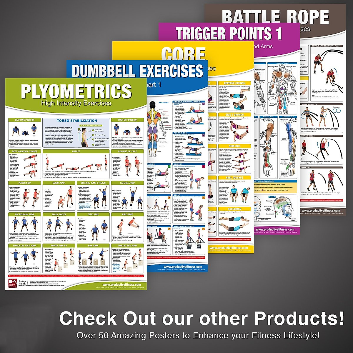 Treadmill Poster/Chart Laminated; How to Run on a Treadmill - Treadmill Safety - Treadmill Workout - Treadmill Instructions - Indoor Running - Walking ... safety - How to use the Treadmill in your Gym