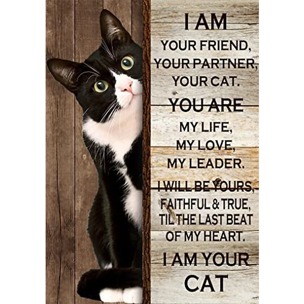Black Cat Sign I Am Your Friend Your Partner Your Cat You are My Life Home Wall Decoration Metal Plaques 12X8 inch