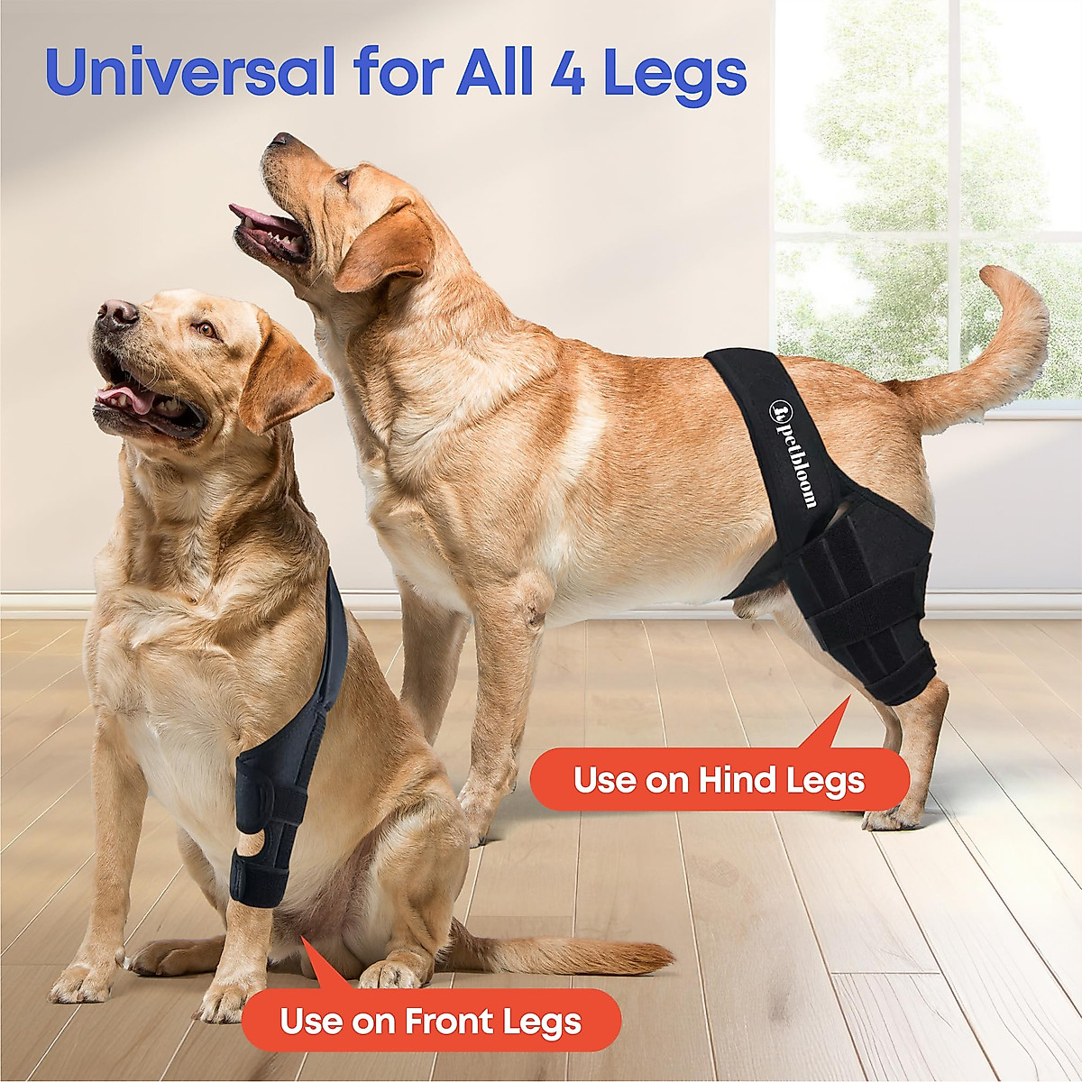 petbloom Dog Knee Brace for Torn ACL, Hip Dysplasia, Arthritis Pain Relief, Osteoarthritis, and Ligament Injuries, Adjustable Neoprene Support for Front or Hind Leg, Black (Large)