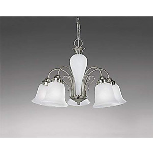 Progress Lighting P4391-09 5-Light Chandelier with Etched Alabaster Glass Shades and Center Column, Brushed Nickel