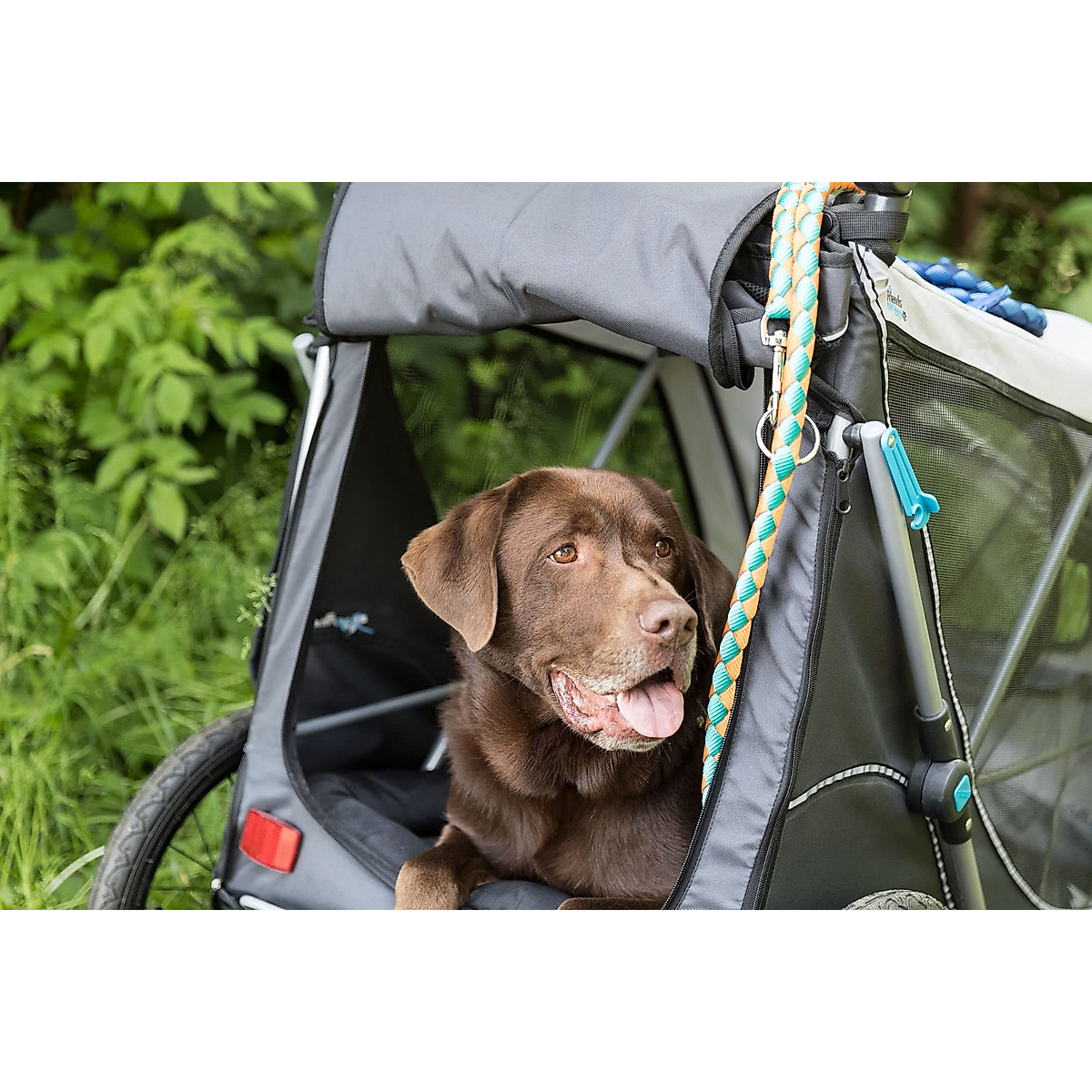 TRIXIE 2-in-1 Dog Bike Trailer and Pet Stroller for Medium Dogs up to 66 lbs, Quick Set-up and Fold Down, Gray