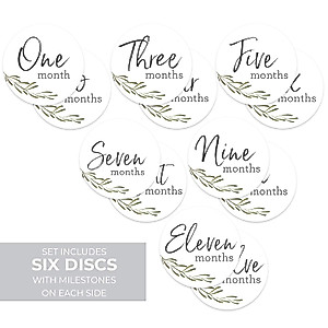 Baby Milestone Signs/Greenery Monthly Milestones/Botanical Infant Photo Prop