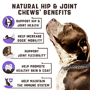 Hemp Joint Supplement for Dogs - Dog Joint Supplement with Glucosamine, Chondroitin, MSM - Supports Hip and Joint Heath, Better Mobility, Skin and Coat - for All Breeds and Ages - 180 Dog Chews, Duck