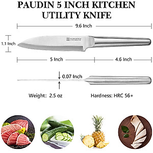 PAUDIN Kitchen Knife, High Carbon German Stainless Steel Chef Knives, Super Sharp Chef's Knife with Ergonomic Hollow Handle (Silver 5 inch)