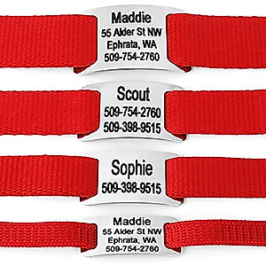 GoTags Slide-On Pet ID Tags, Personalized Dog and Cat Collar Tags, Silent, No Noise Tags Made of Stainless Steel, Custom Engraved