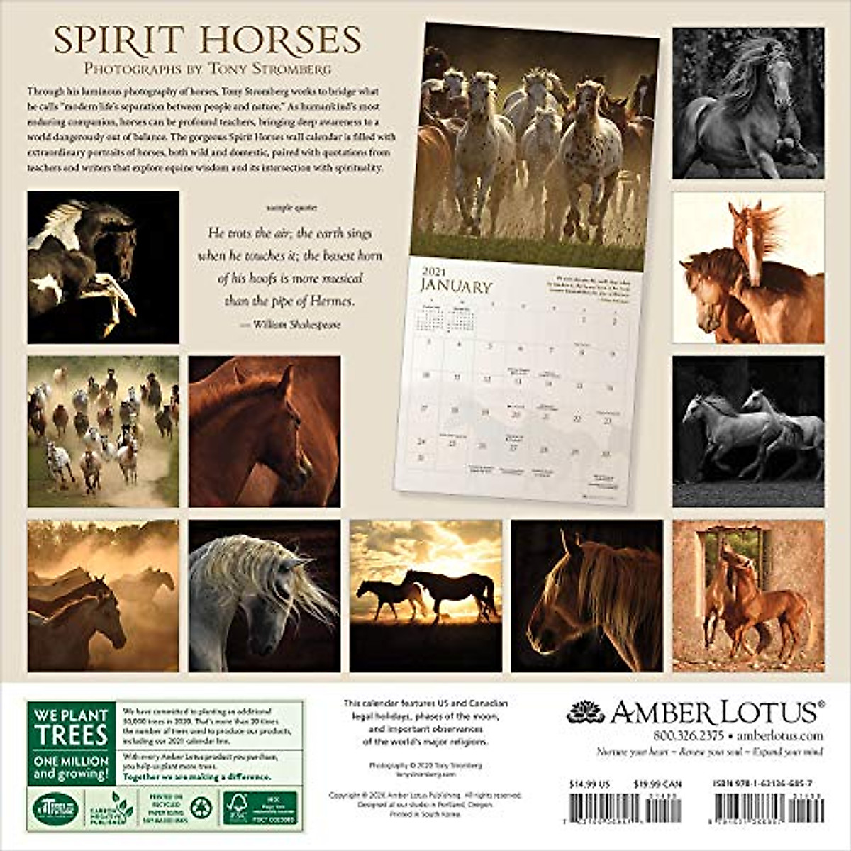 Spirit Horses 2021 Calendar
