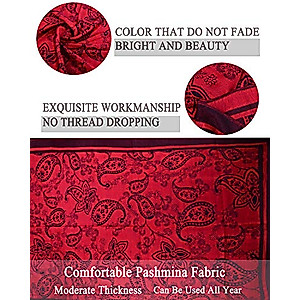 Iristide Women's Pashmina Shawl Paisley Pattern Scarf Tassels Wrap Colorful Ethnic (2005-Red &Black)
