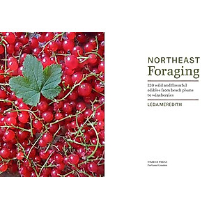 Northeast Foraging: 120 Wild and Flavorful Edibles from Beach Plums to Wineberries (Regional Foraging Series)