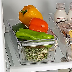 Kitchen Details 2 Pack Medium Refrigerator Storage Bin | Fridge & Freezer | Kitchen Organization | Stainless Steel Handle | Countertop | Cabinets | Pantry | Clear