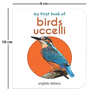 My First English-Italiano Learning Library (la mia prima biblioteca delle parole Inglese-Italiano): Boxset of 10 English - Italian Board Books (English and Italian Edition)